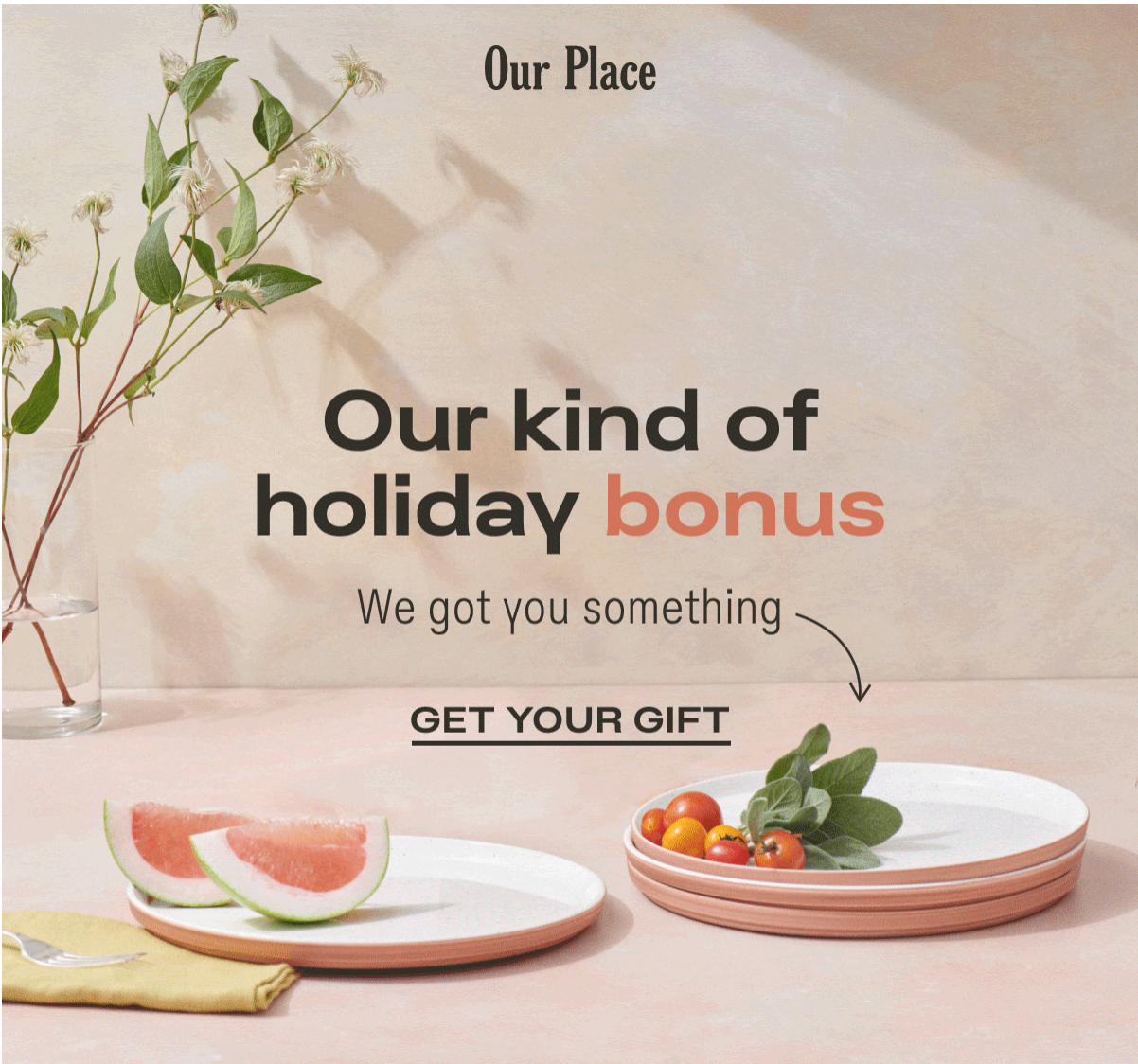 Our Place Flash Sale - Free Plates With Always Pan Purchase! | MSA