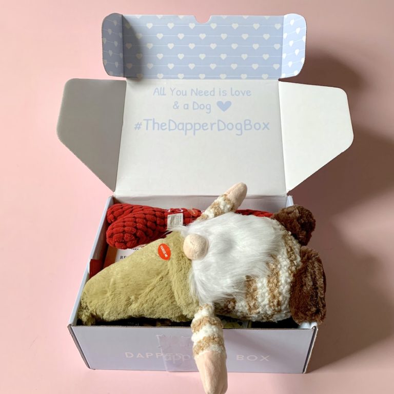 The Dapper Dog Box Review - January 2021 | MSA