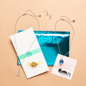 17 Best Cheap Subscription Boxes To Try - All Under $15 | MSA