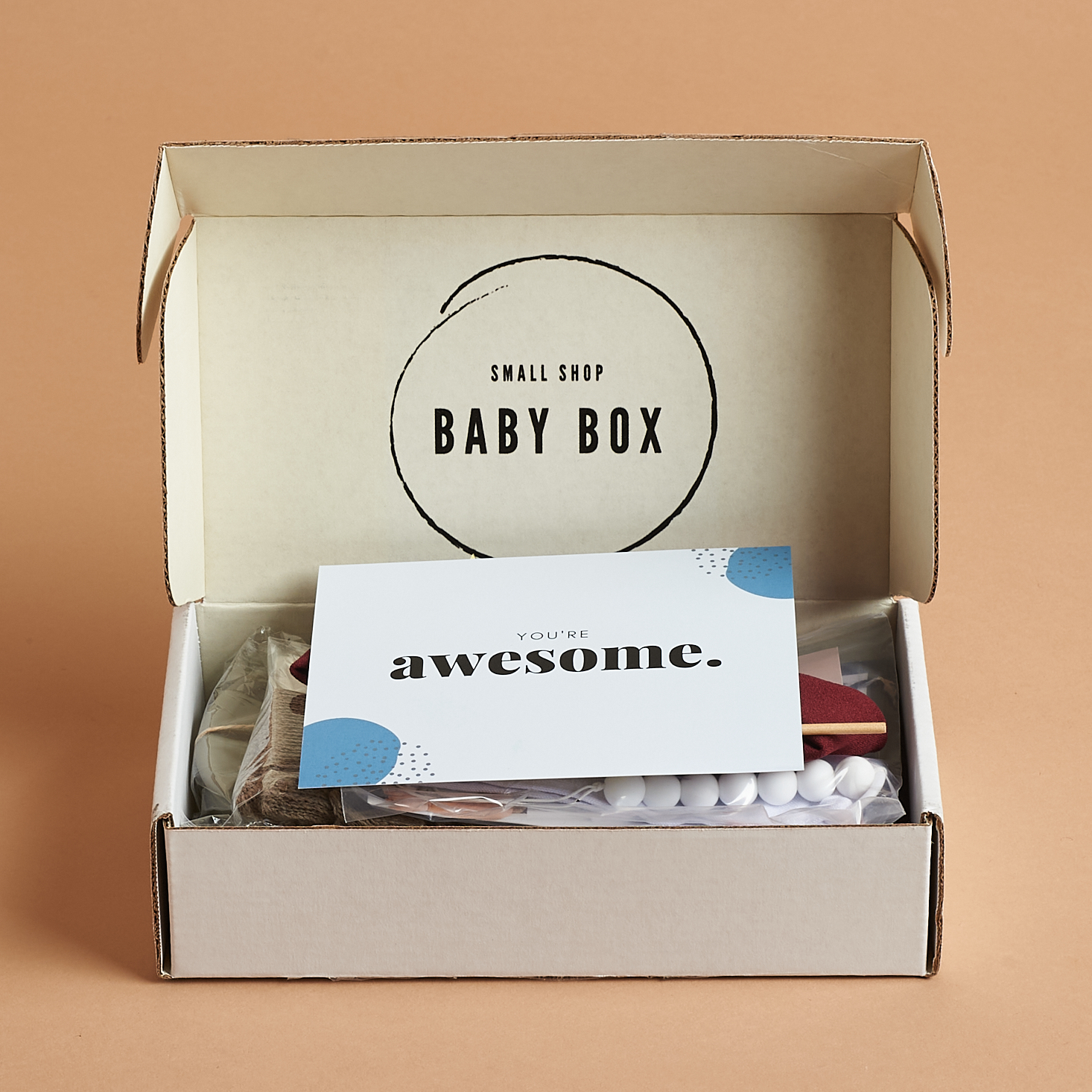 Small Shop Baby Box Winter 2021 Box Review - 9-12 Month Girl | MSA