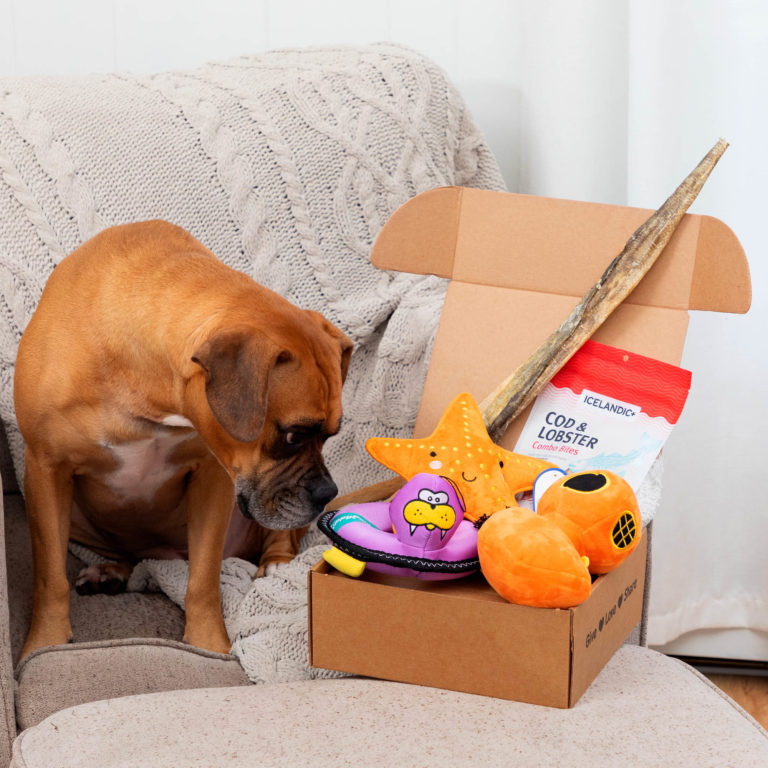 The 21 Best Pet Subscription Boxes in 2025