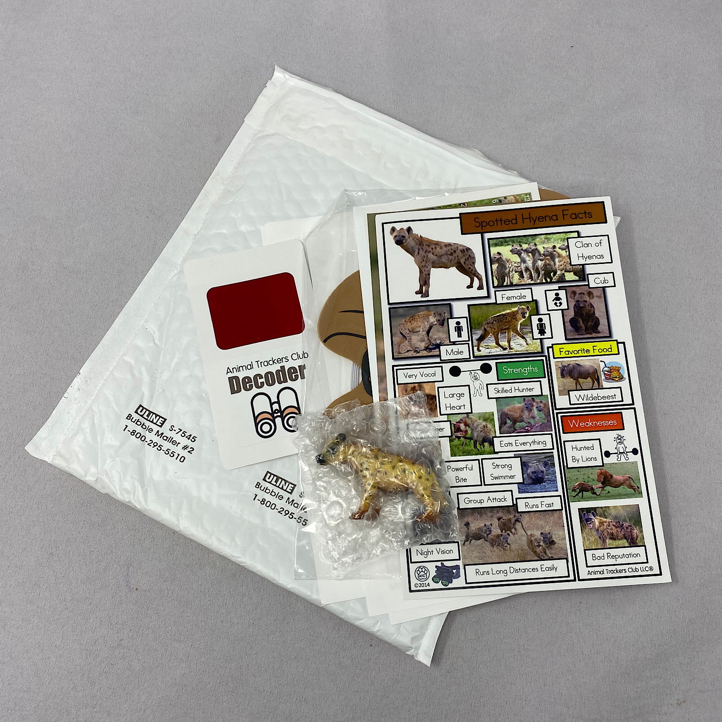 Animal Trackers Club Review - February 2021 | MSA