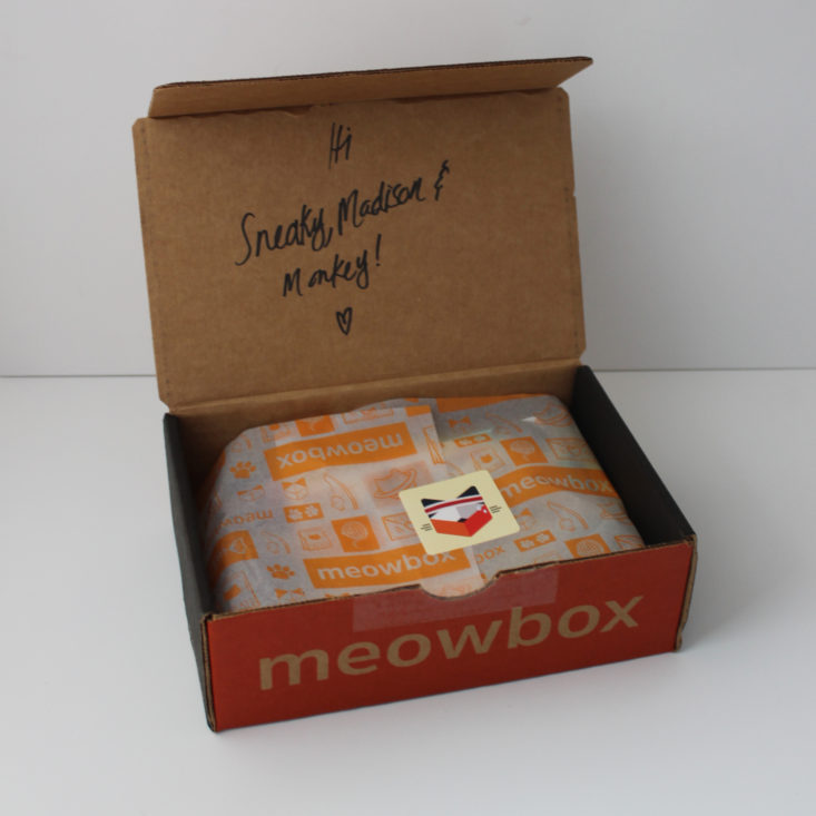 meowbox Cat Subscription Review + Coupon – December 2020 | MSA