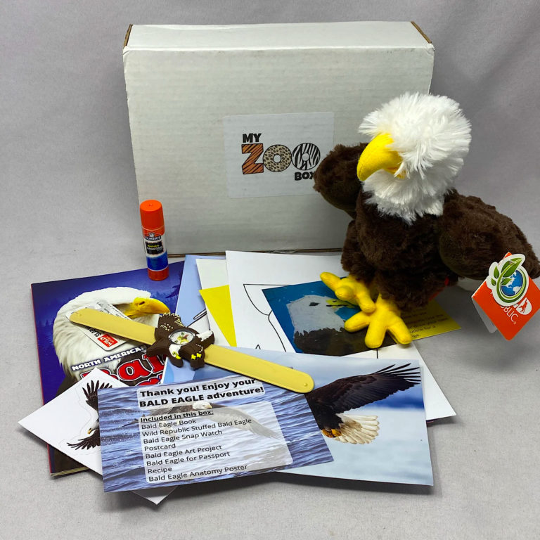 My Zoo Box Reviews: Everything You Need To Know