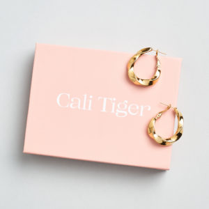 Cali Tiger Jewelry Box Review + Coupon - February 2021 | MSA