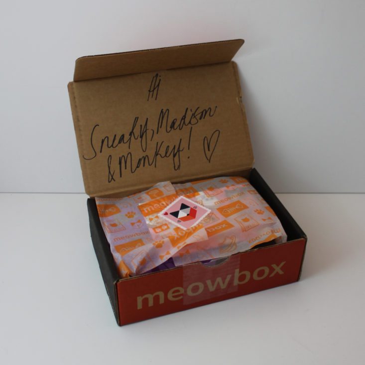 meowbox Subscription Review + Coupon – February 2021 | MSA