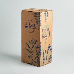 The Plant Club Box Review - March 2021 | MSA