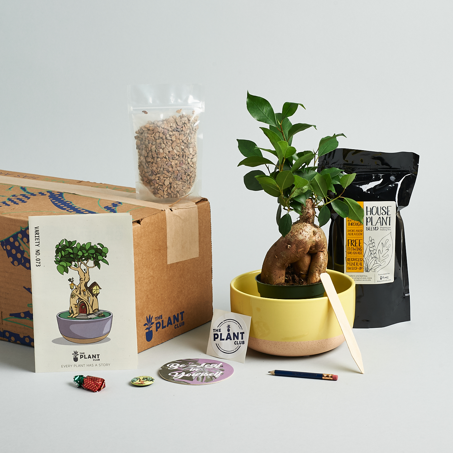 The Plant Club Box Review - March 2021 | MSA