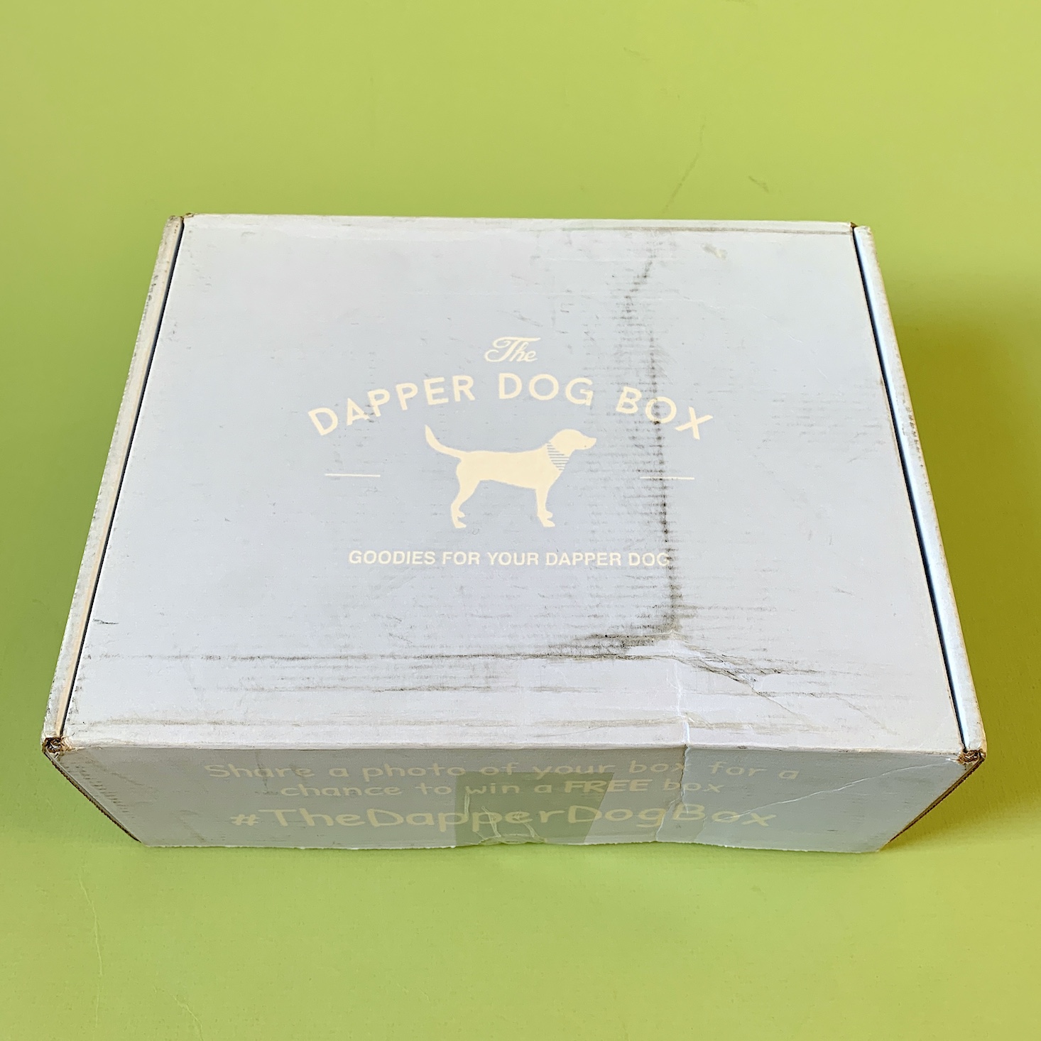 The Dapper Dog Box Review - April 2021 | MSA