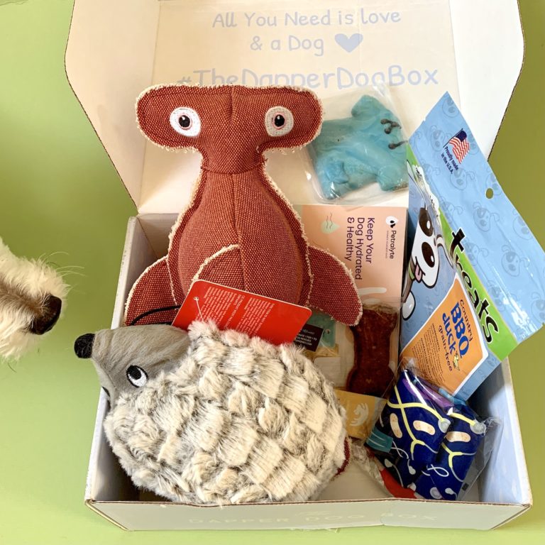 The Dapper Dog Box Review - April 2021 | MSA