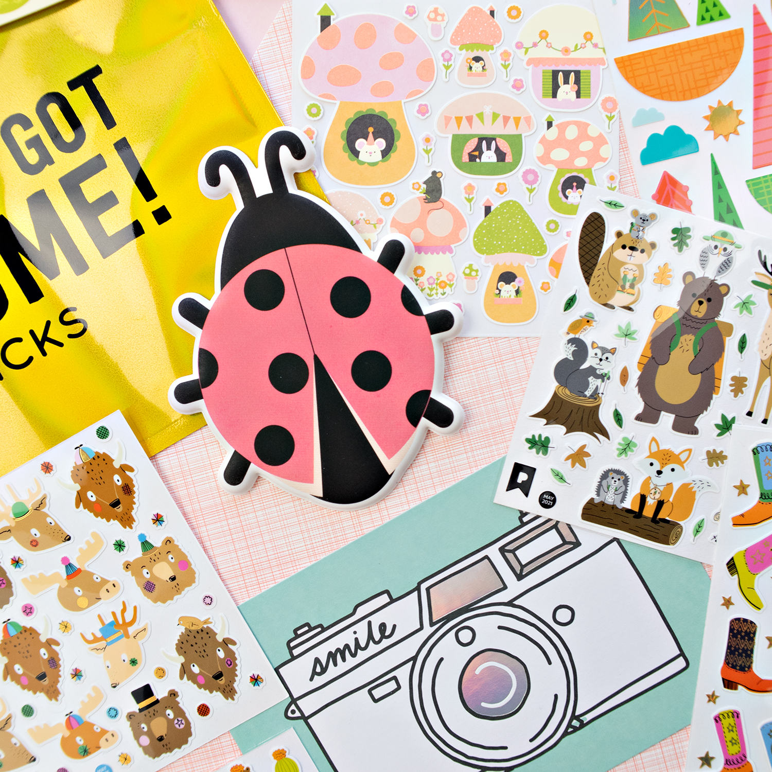 Pipsticks Kids Club May 2021 Box – Full Spoilers | MSA