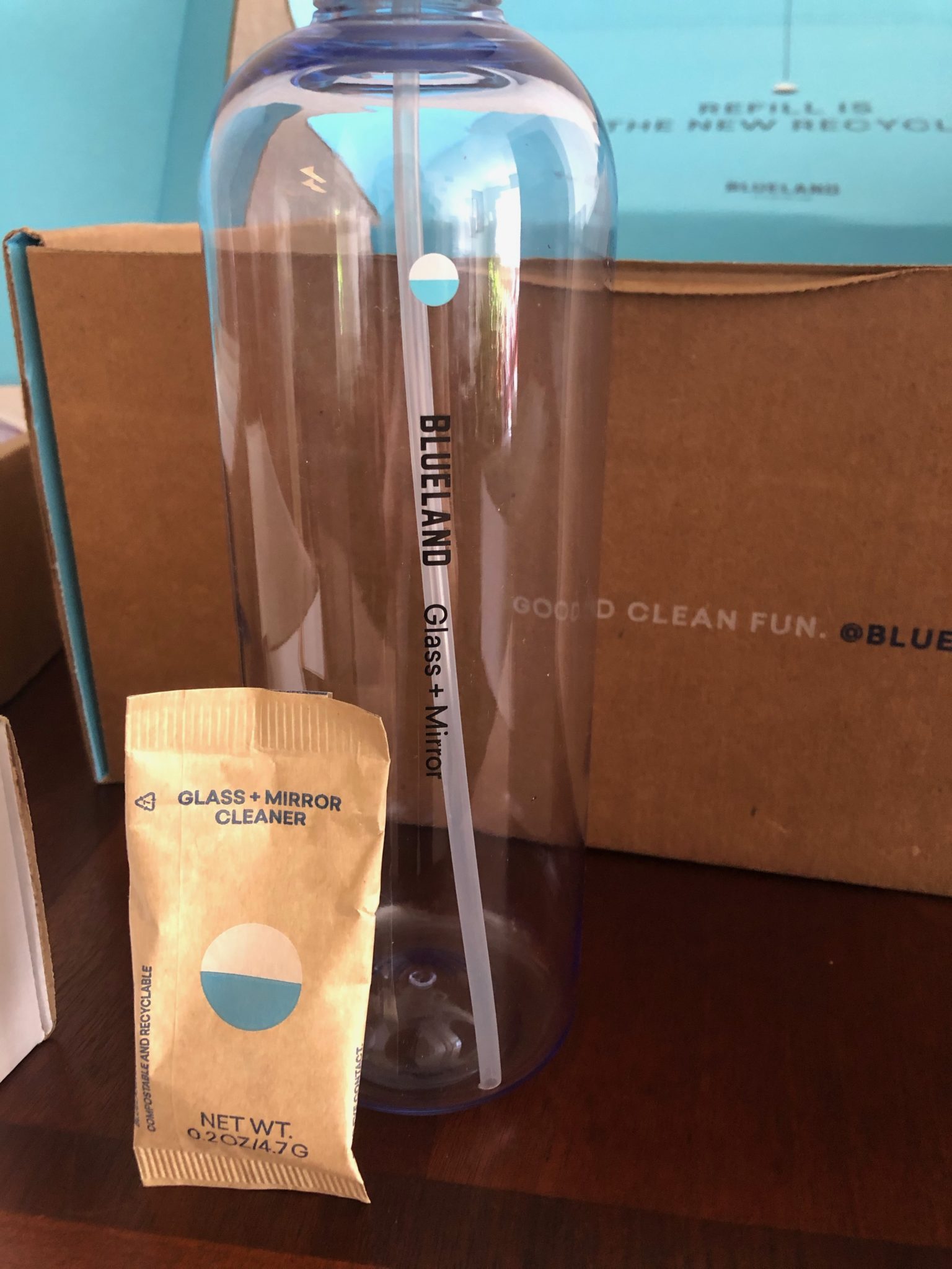 Blueland Review: Are Eco-Friendly Cleaning Supplies For You? | MSA