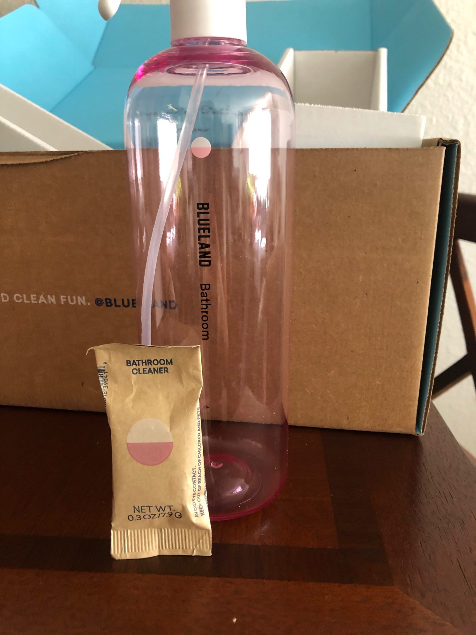 Blueland Review: Are Eco-Friendly Cleaning Supplies For You? | MSA