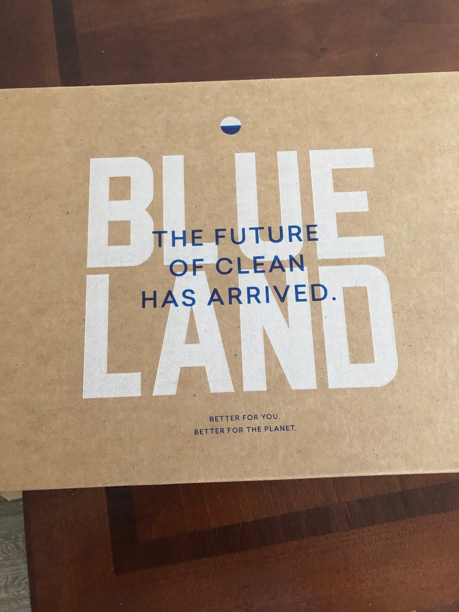 Blueland Review: Are Eco-Friendly Cleaning Supplies For You? | MSA