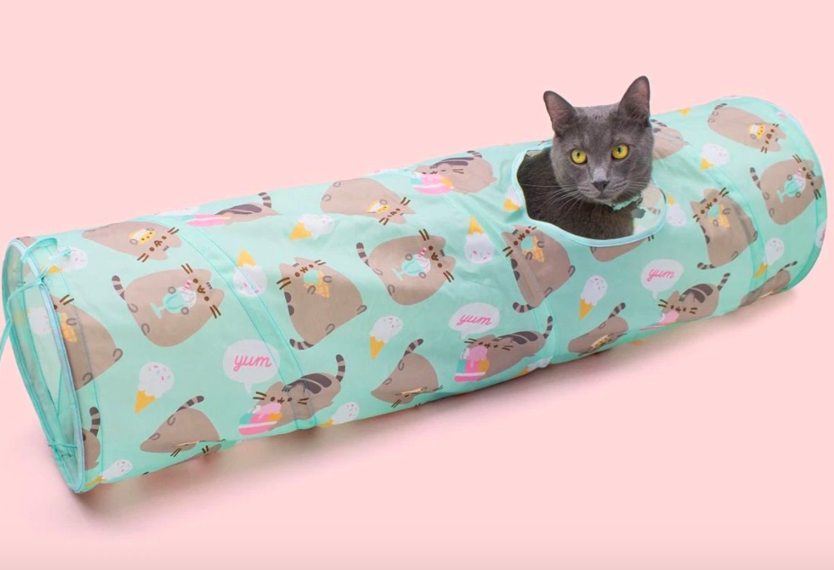 Cat Kit by Pusheen Summer 2021 Box – Spoiler #1 | My Subscription Addiction