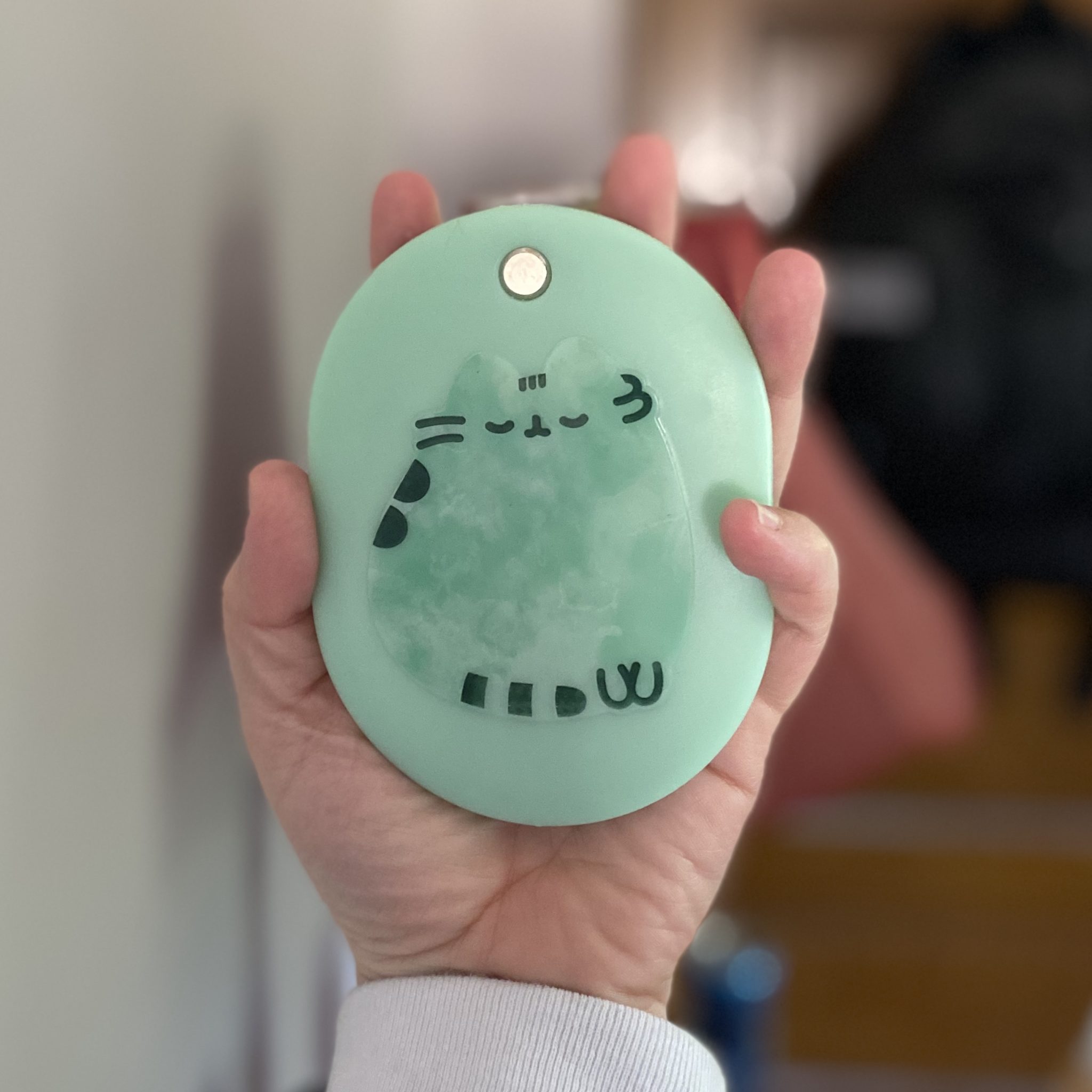 Pusheen Box “Rainy Day” Review – Spring 2021 | MSA