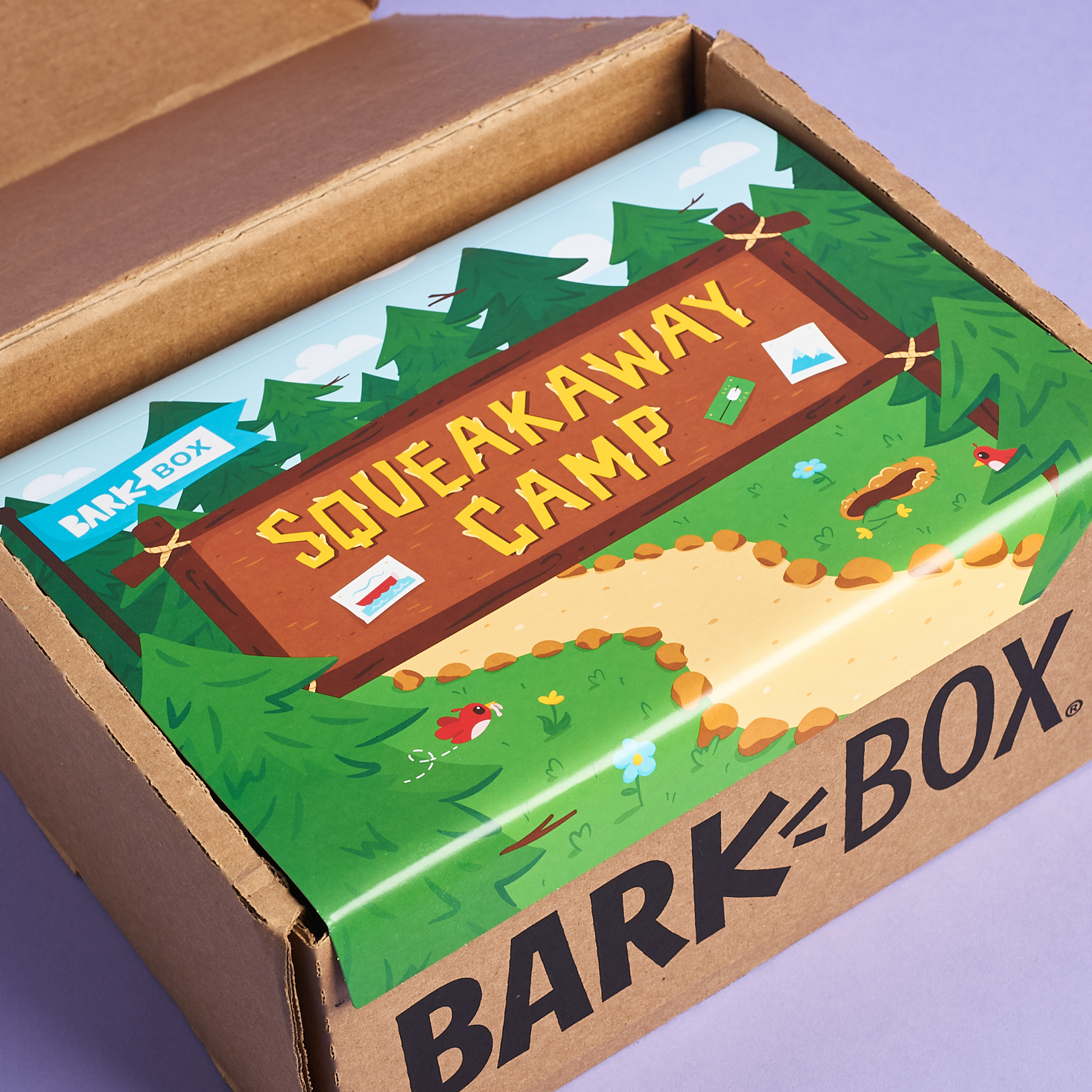 BarkBox Subscription Box Review + Coupon – June 2021 | MSA