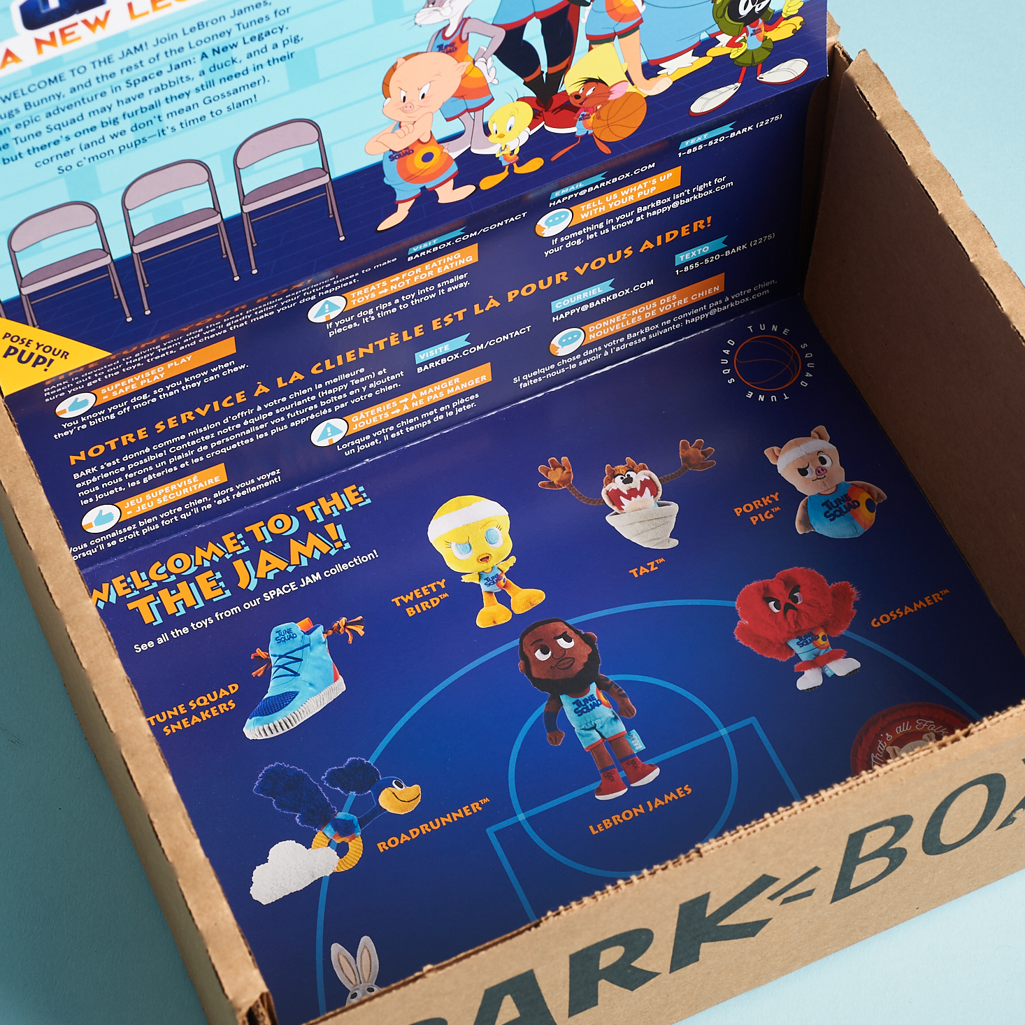 BarkBox Limited Edition Space Jam: A New Legacy Review + Coupon – July ...