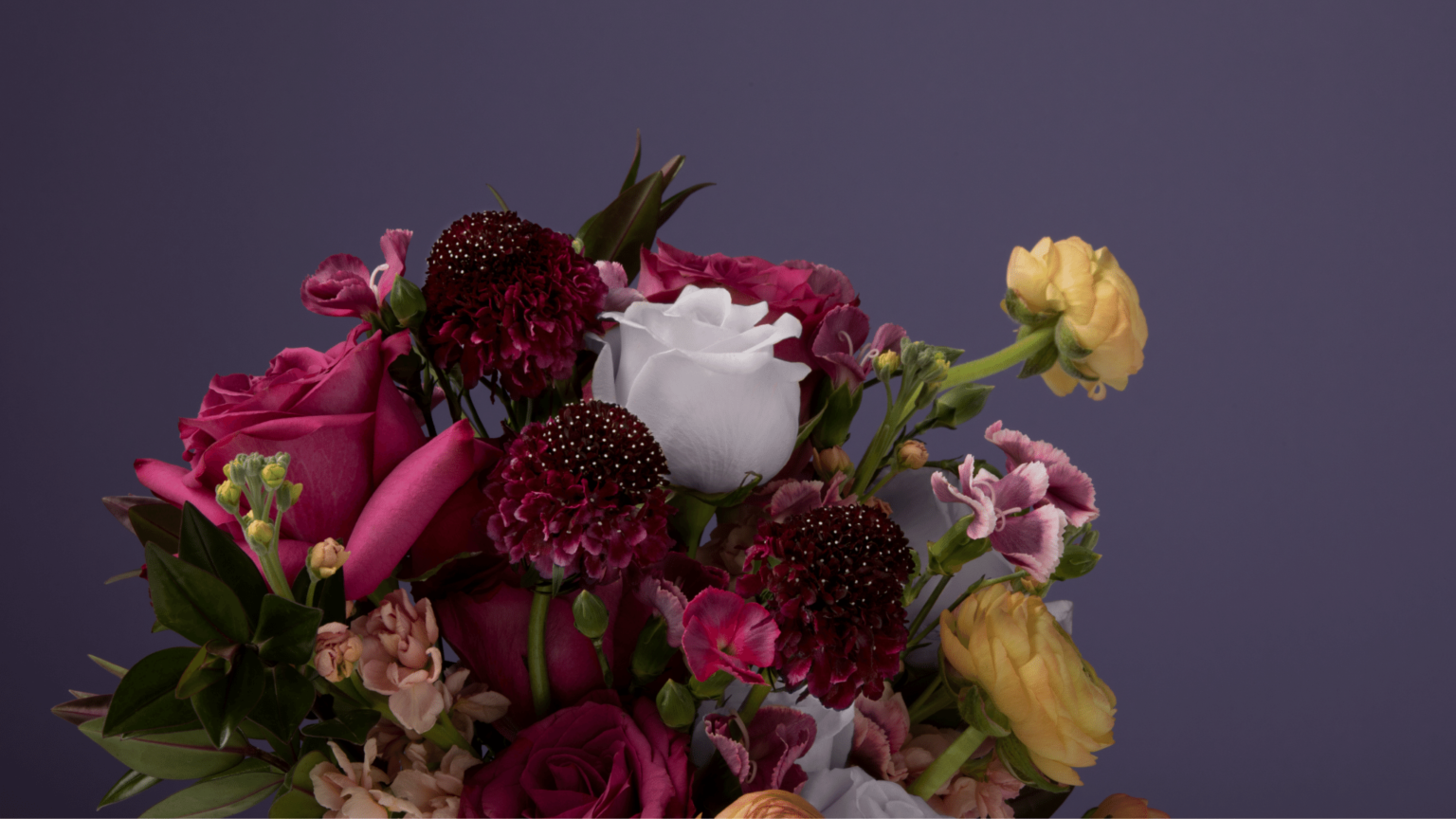 The Bouqs Review – Fresh Flowers At Your Doorstep