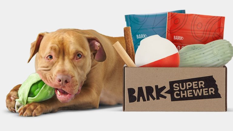 Barkbox SuperChewer: Get a “Totally Normal” 420 Toy with a New 6 or 12 ...