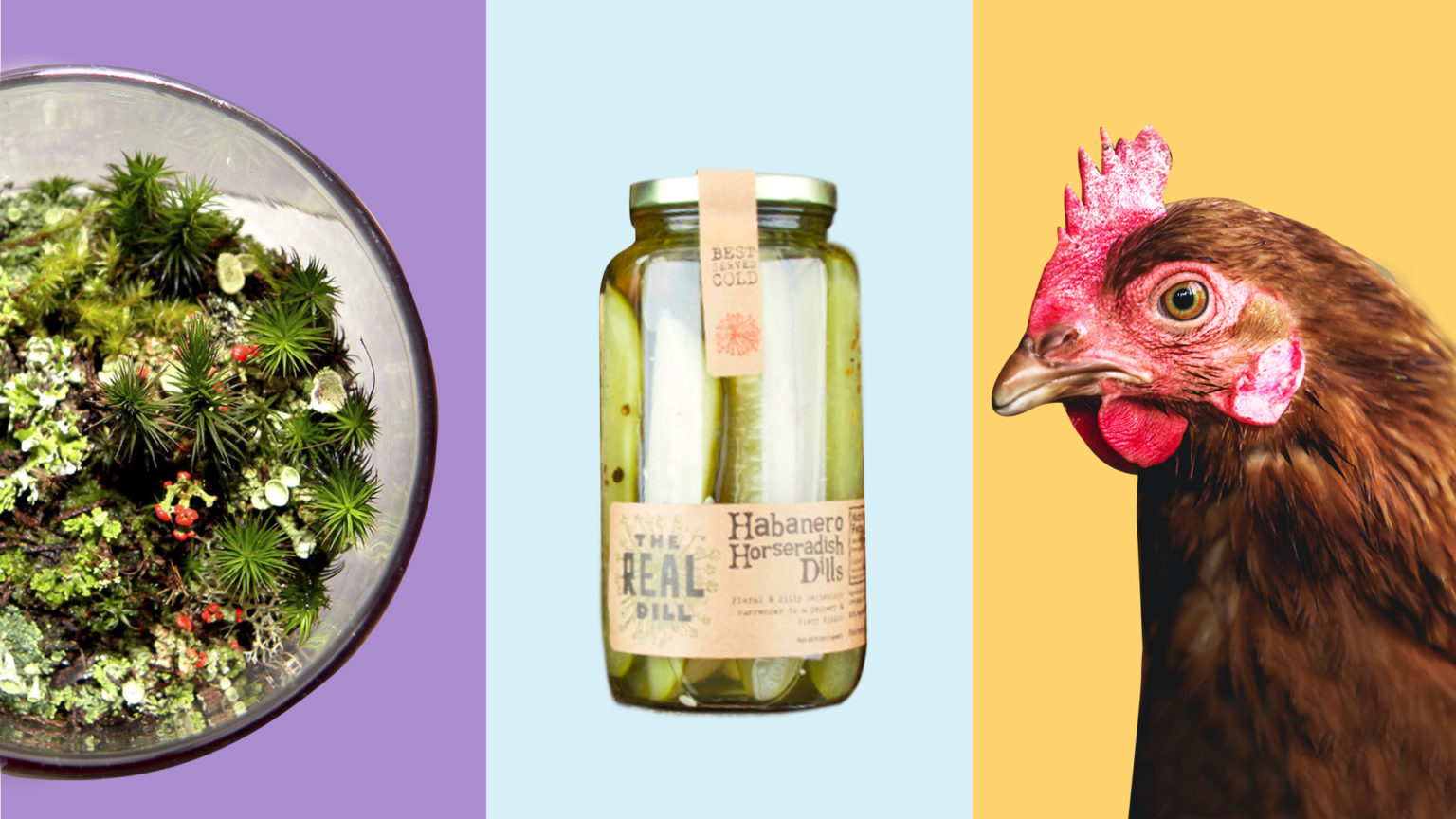 The 16 Oddest, Bizarre, and Totally Different Subscription Boxes Out ...