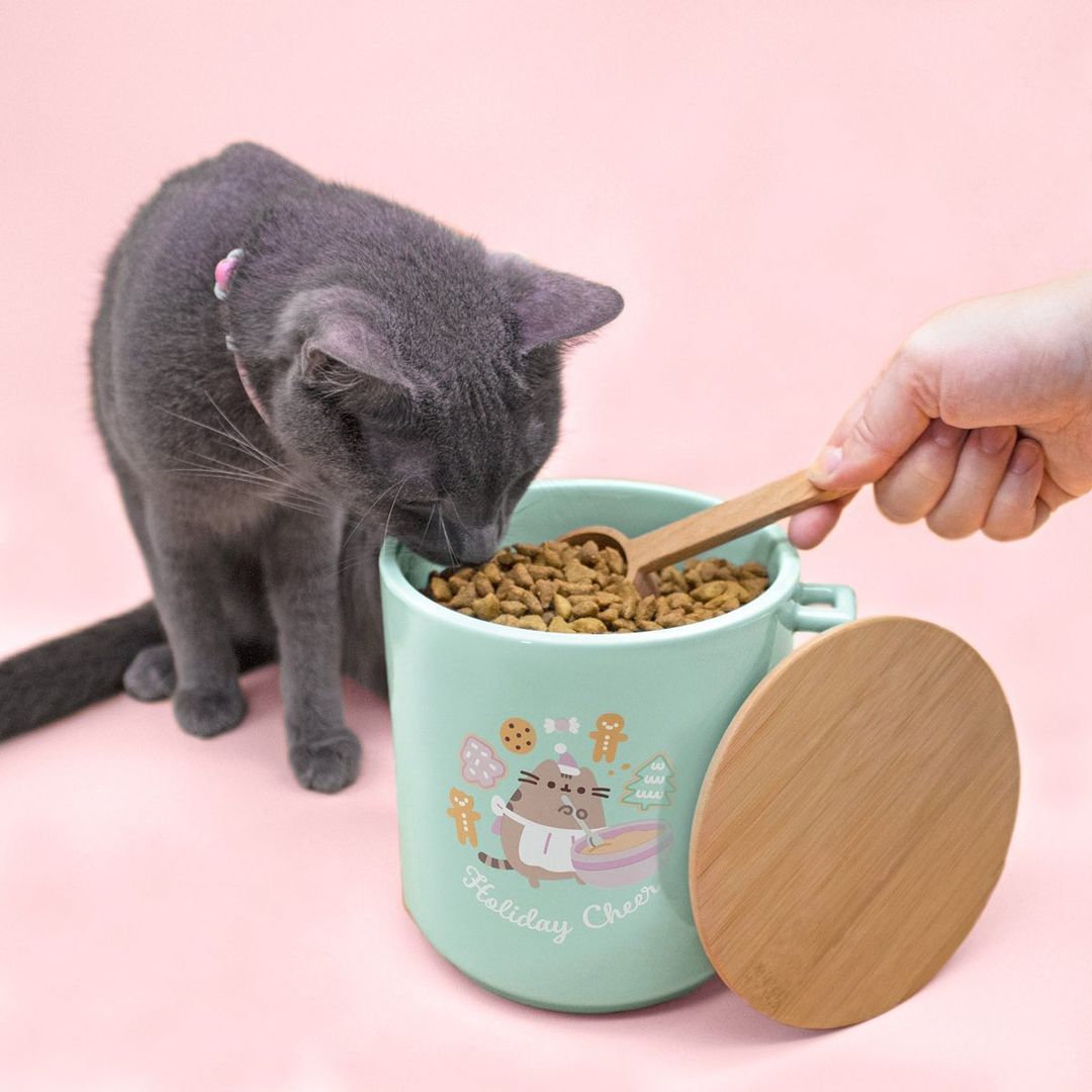 Cat Kit by Pusheen Winter 2021 Box Spoilers #1 and #2 | My Subscription ...