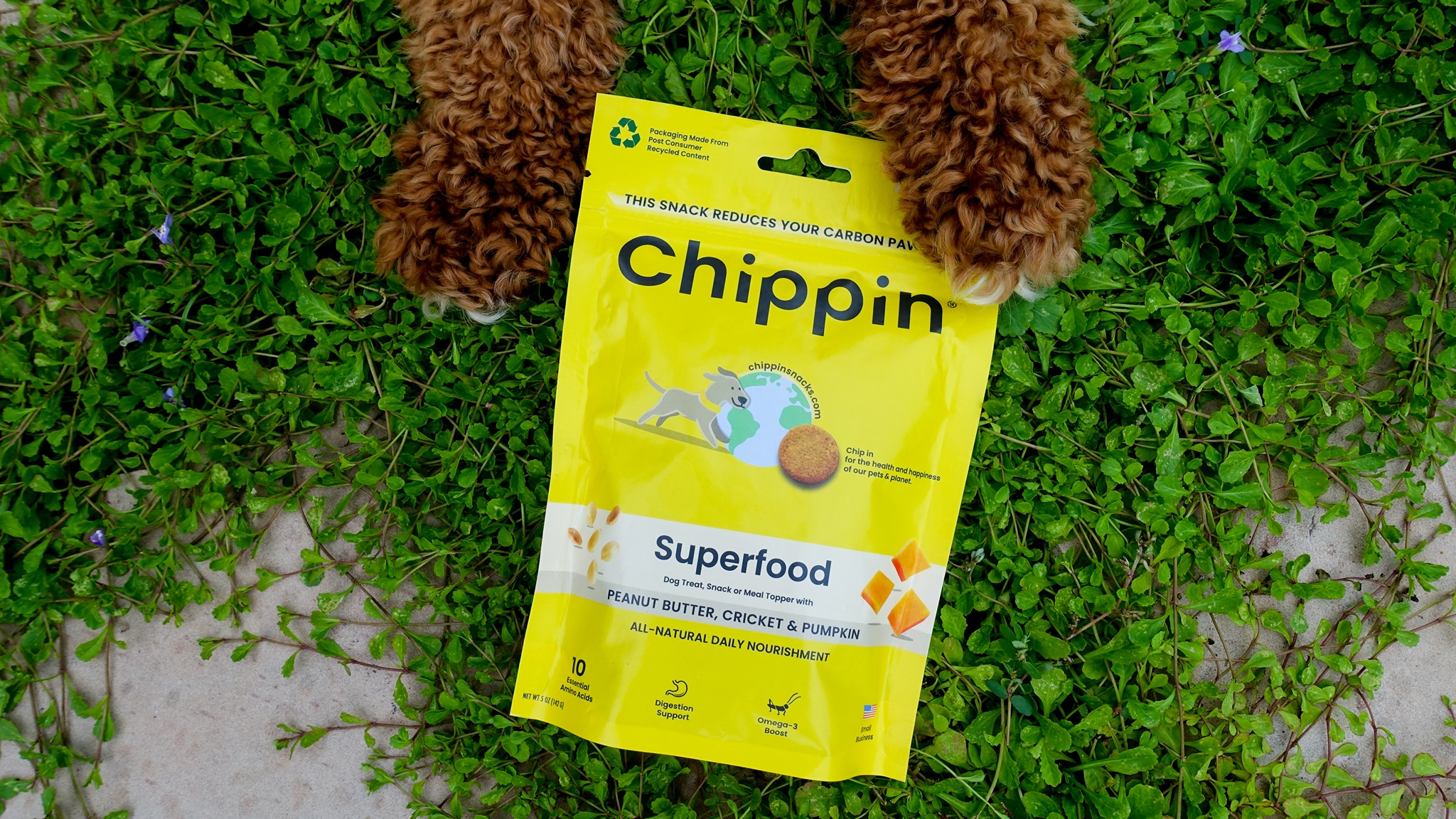 First Impressions: Chippin Dog Food and Treats | My Subscription Addiction