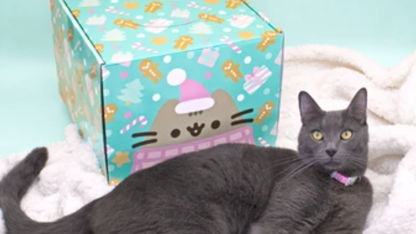Cat Kit by Pusheen Winter 2021 Box Full Spoilers | My Subscription ...