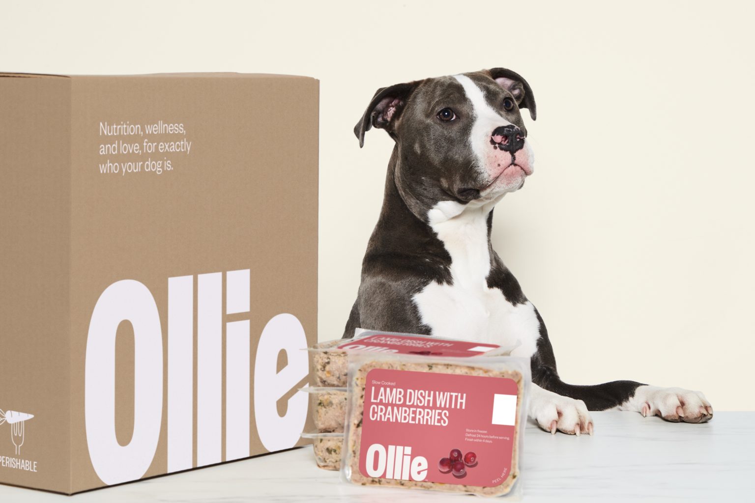 The 13 Best Dog Food Subscription Boxes of 2023 - Readers' Choice