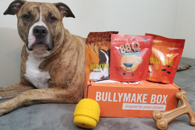 The 21 Best Pet Subscription Boxes in 2025