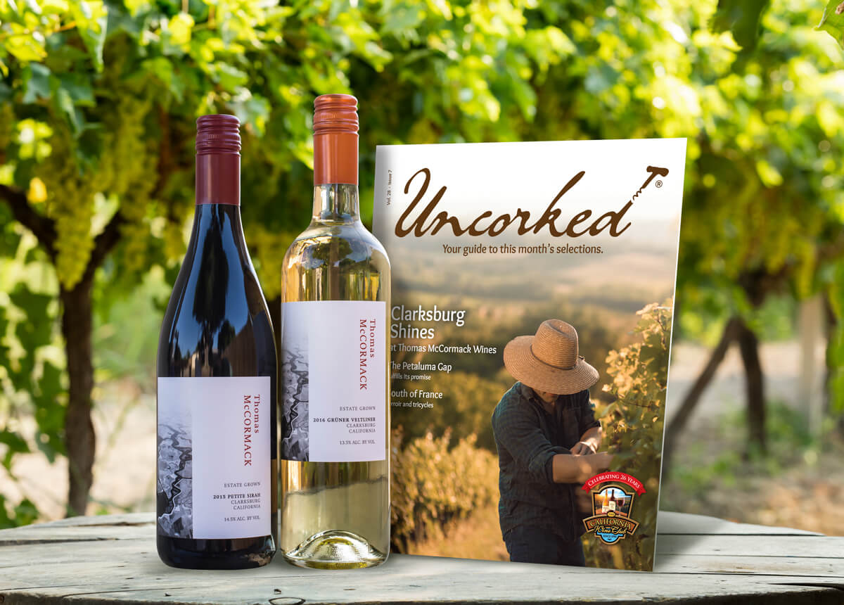 The 10 Best Wine Subscription Boxes – 2024 Readers' Choice | MSA