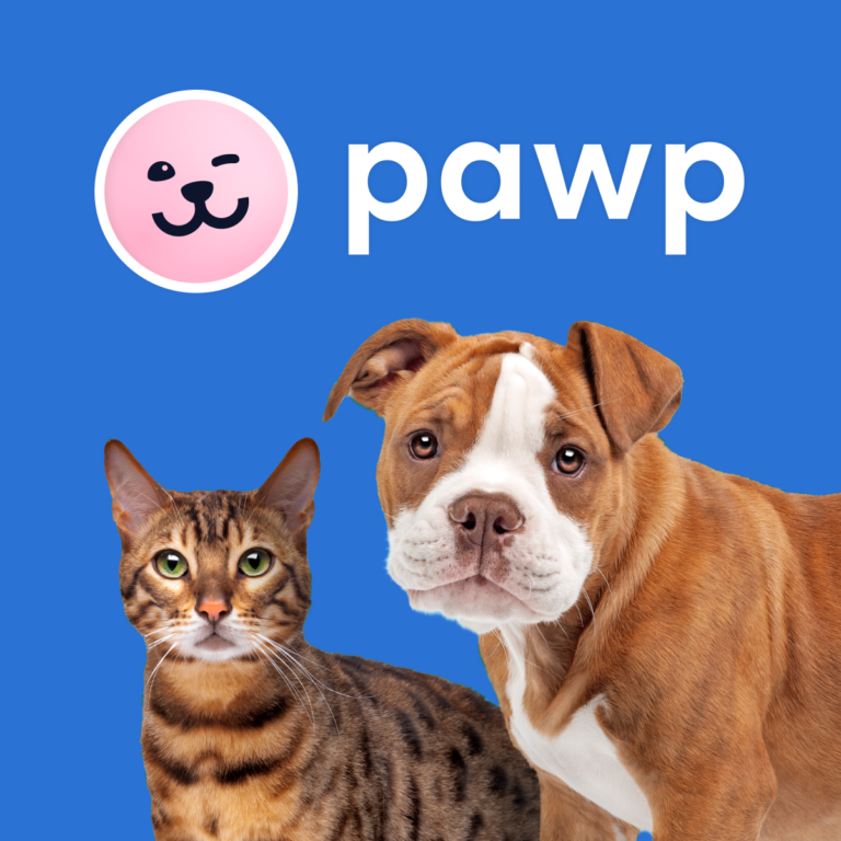 The 21 Best Pet Subscription Boxes in 2025