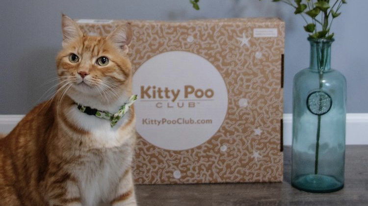 Kitty Poo Club: Get 40% Off Your First Box | My Subscription Addiction