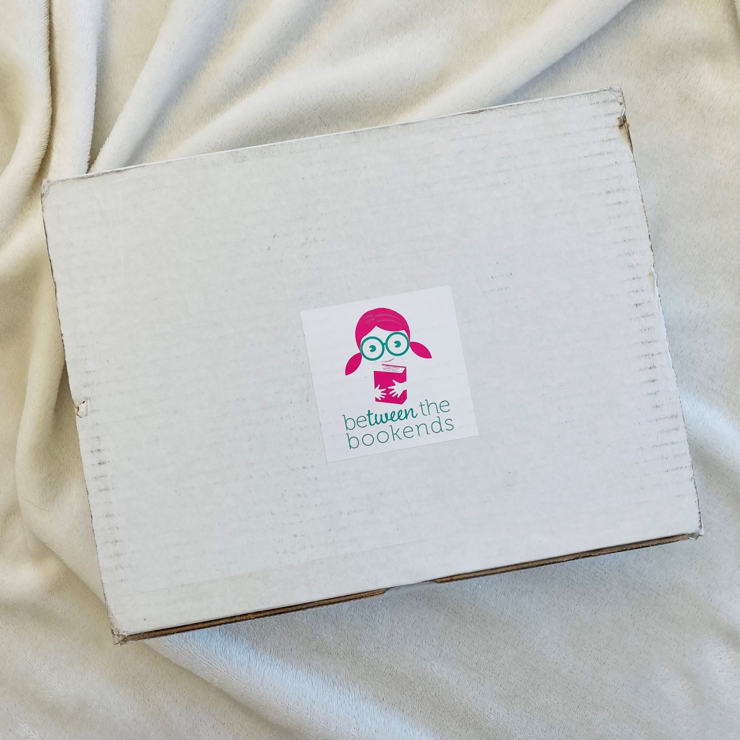 beTWEEN the Bookends Early Reader Box March 2022 Review | My ...