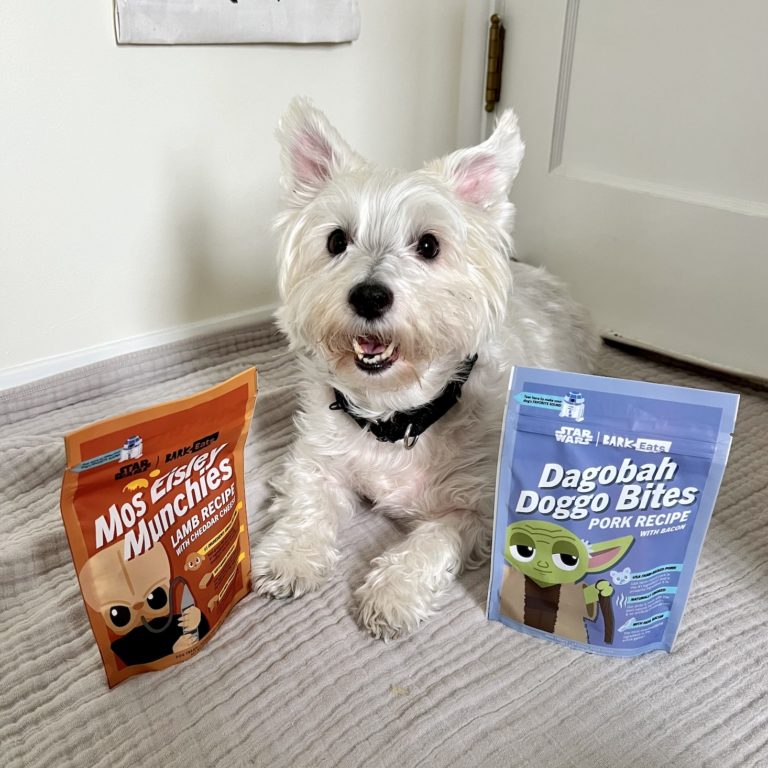 BarkBox Reviews: Everything You Need To Know