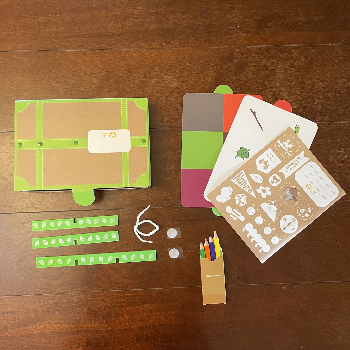 KiwiCo Koala Crate May 2022 “Nature” Review | My Subscription Addiction