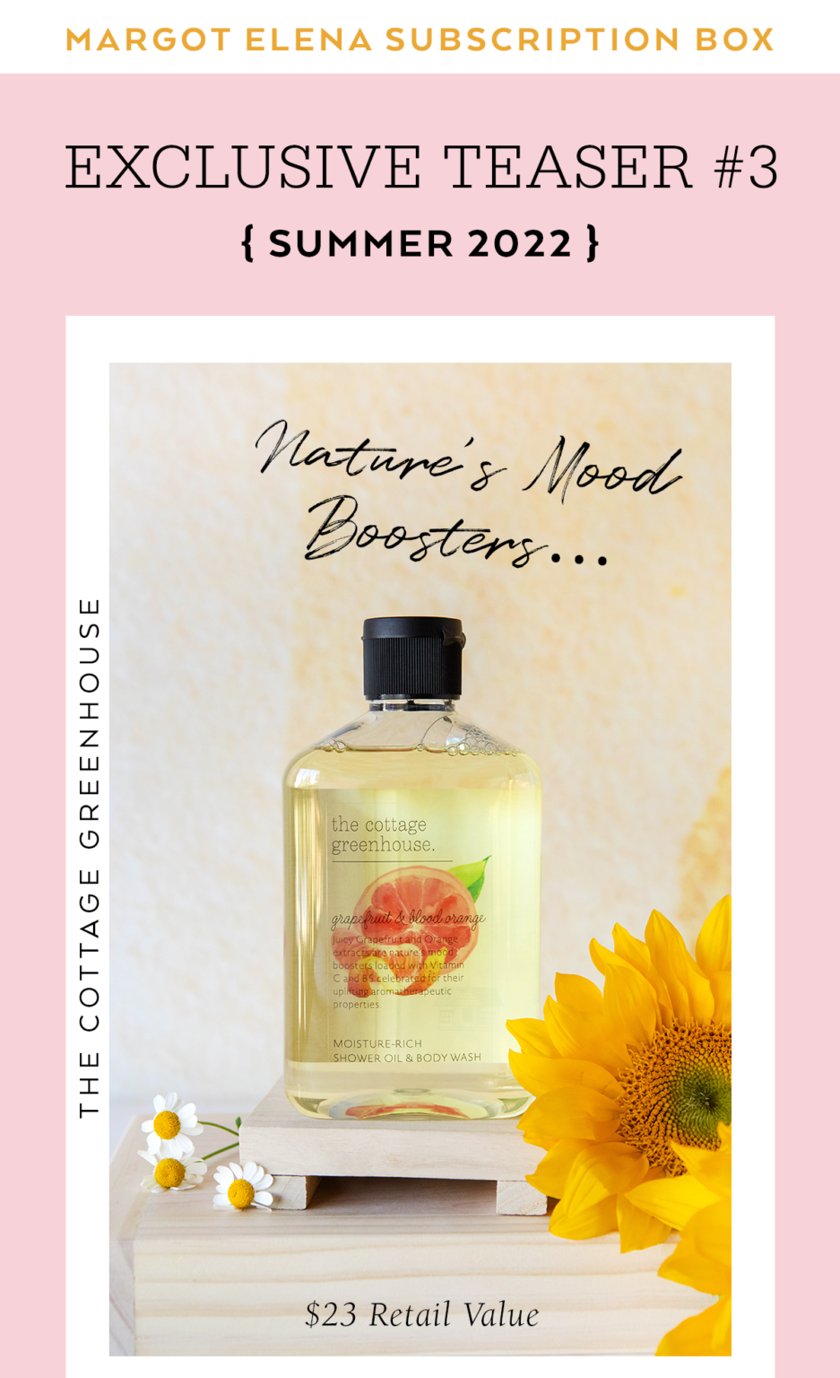 Margot Elena Discovery Box Summer 2022 - Spoiler #1! | MSA