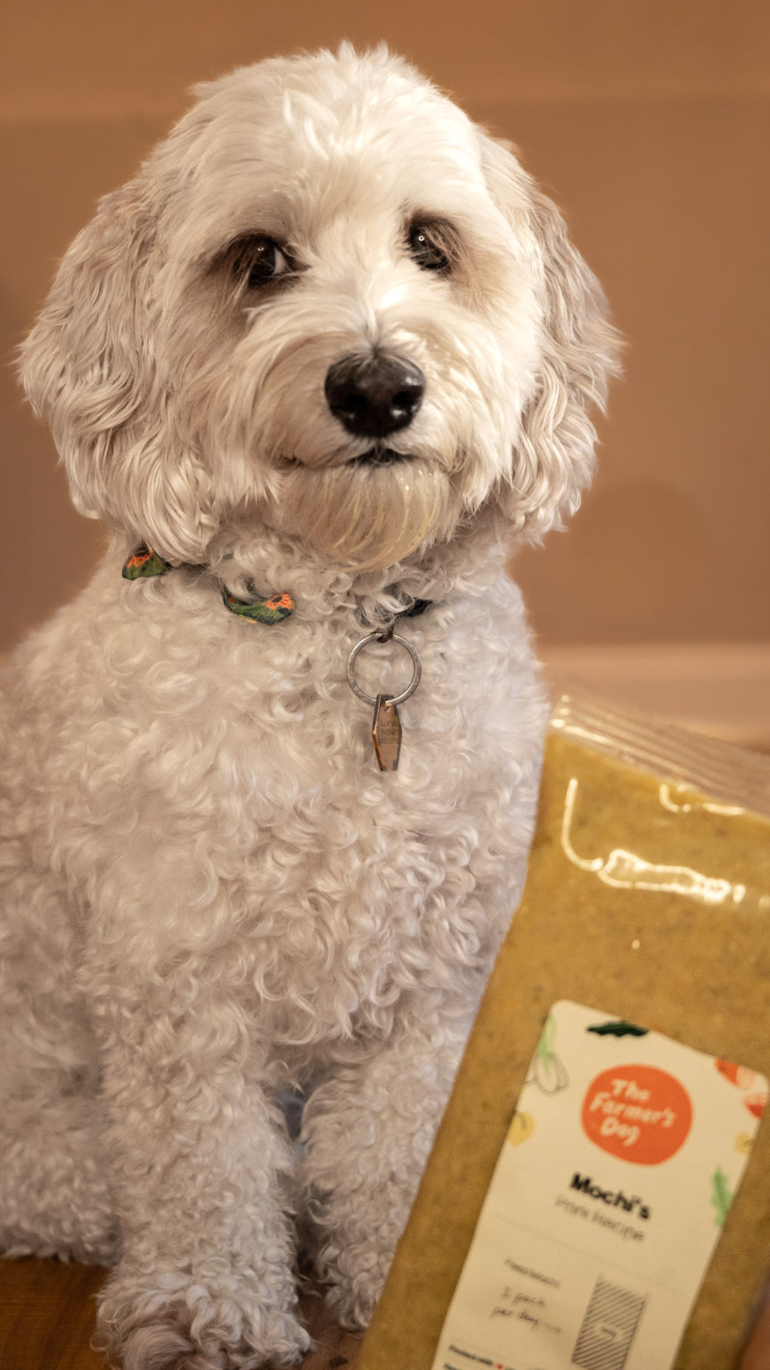 Farmer’s Dog vs Ollie vs Nom Nom: My Dog Tried All 3 and Here’s Her ...