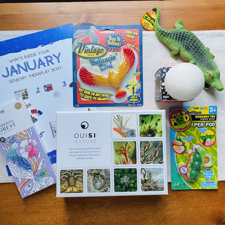 Sensory TheraPlay Box January 2023 Review | MSA