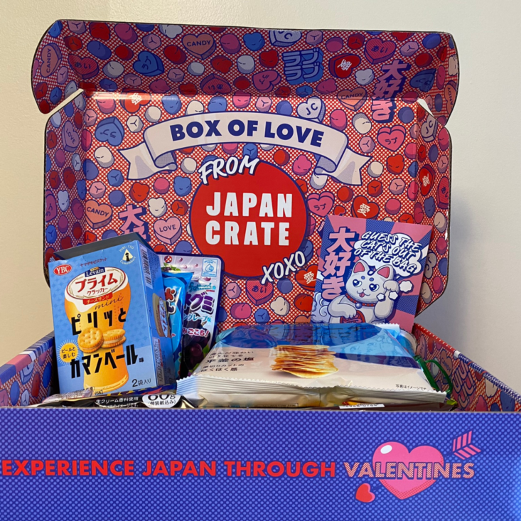 Japan Crate Premium Box Review February 2023 | My Subscription Addiction