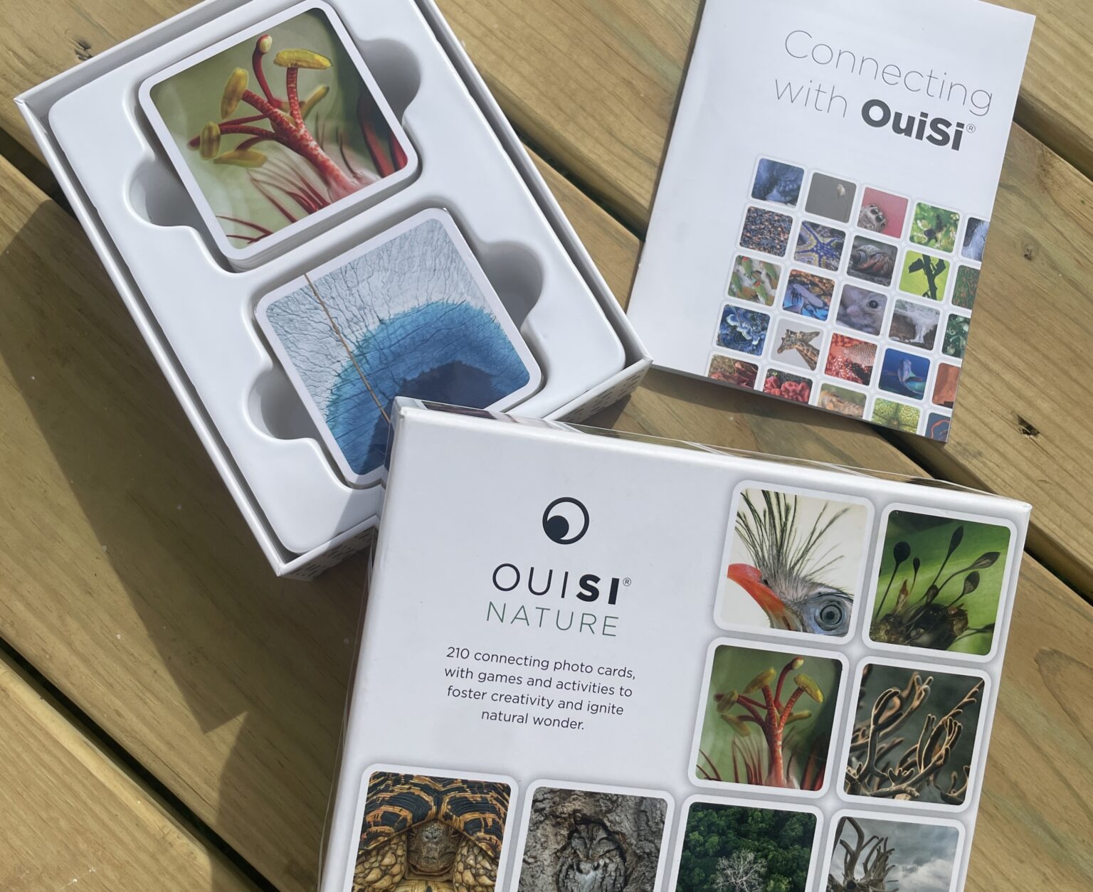 What is OuiSi, Exactly? 3 Reasons Why This Is My Family’s Favorite Game ...