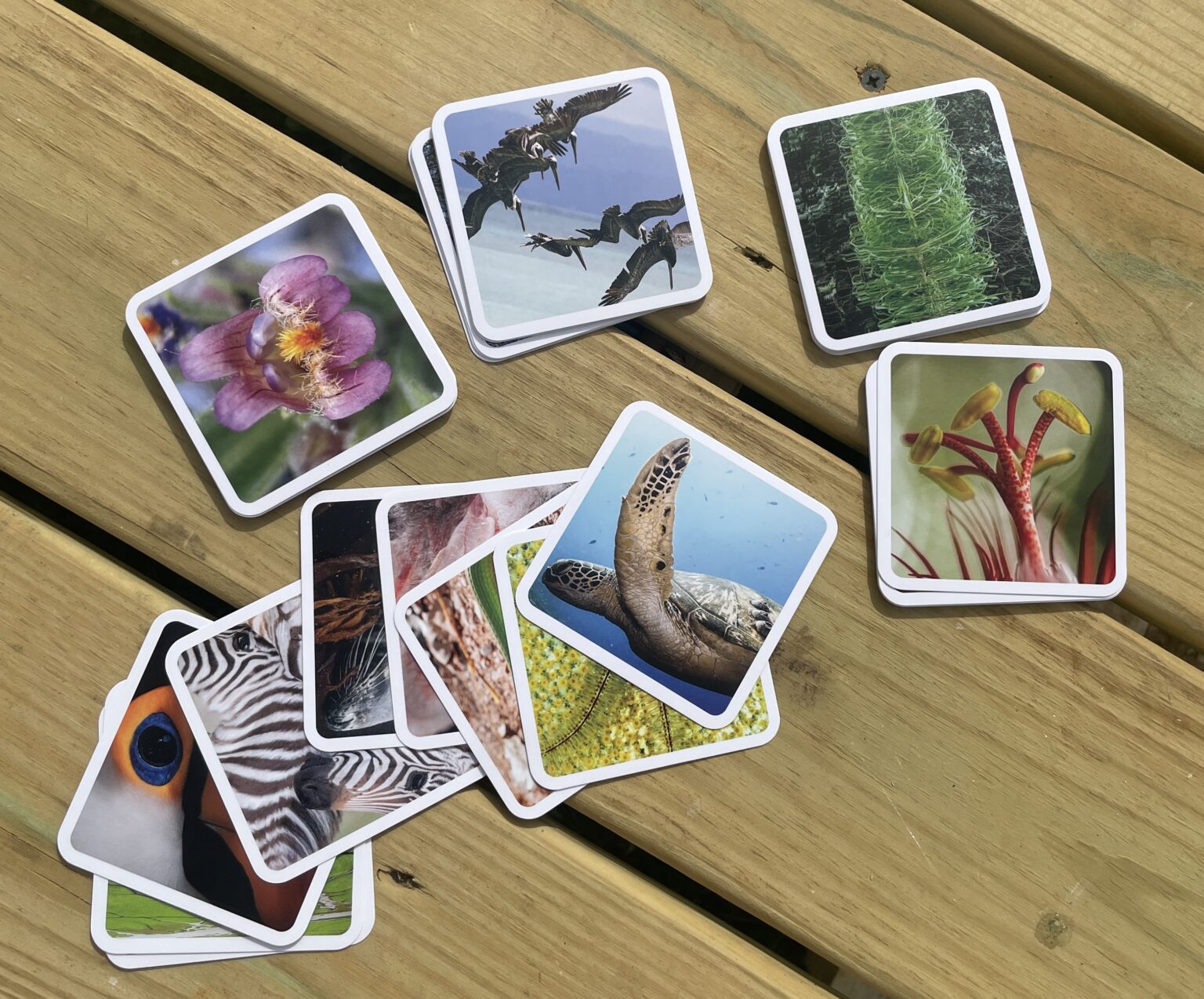 What is OuiSi, Exactly? 3 Reasons Why This Is My Family’s Favorite Game ...