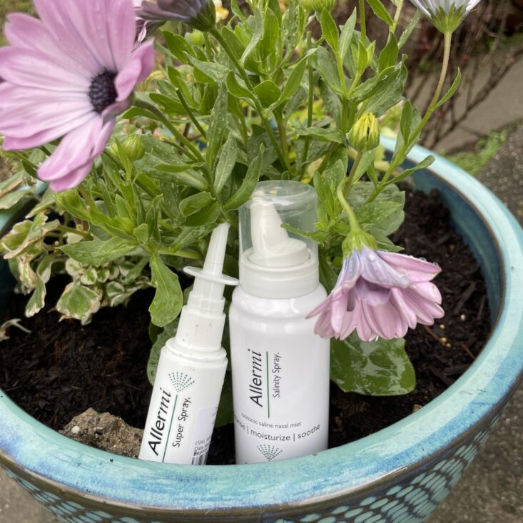 Allermi vs. Zyrtec vs. Flonase: The Allergy Medication That’s Letting ...