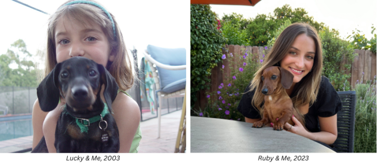 Koala Health vs. Chewy vs. PetMeds: Which Pet Medicine Brand Do I Trust? | My Subscription Addiction