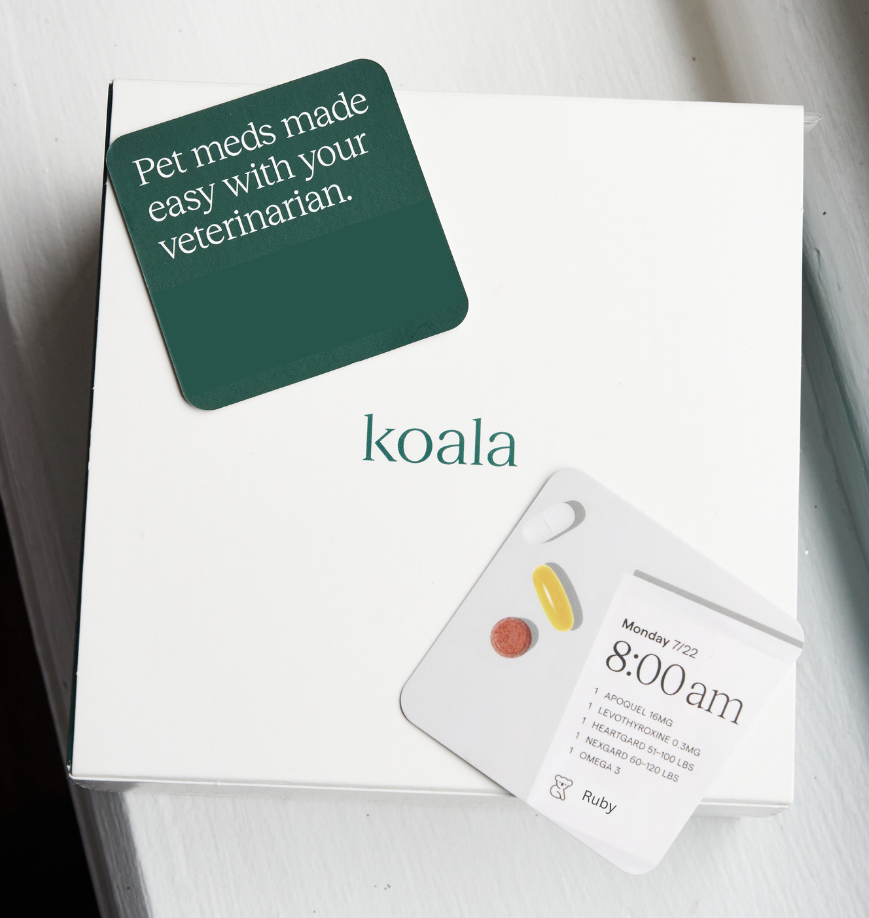 Koala Health vs. Chewy vs. PetMeds: Which Pet Medicine Brand Do I Trust? | My Subscription Addiction