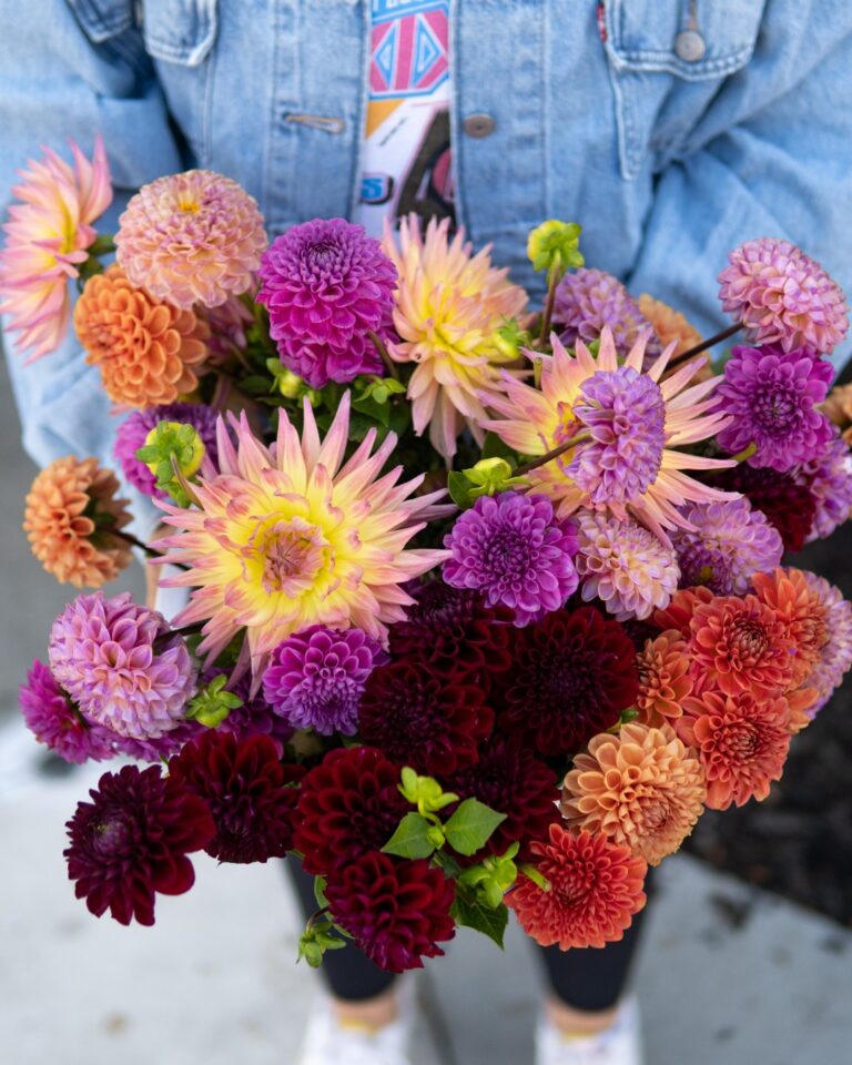 The 8 Best Flower Delivery Subscriptions in 2024
