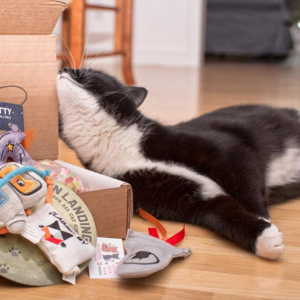 The 26 Best Subscription Boxes for Men in 2024