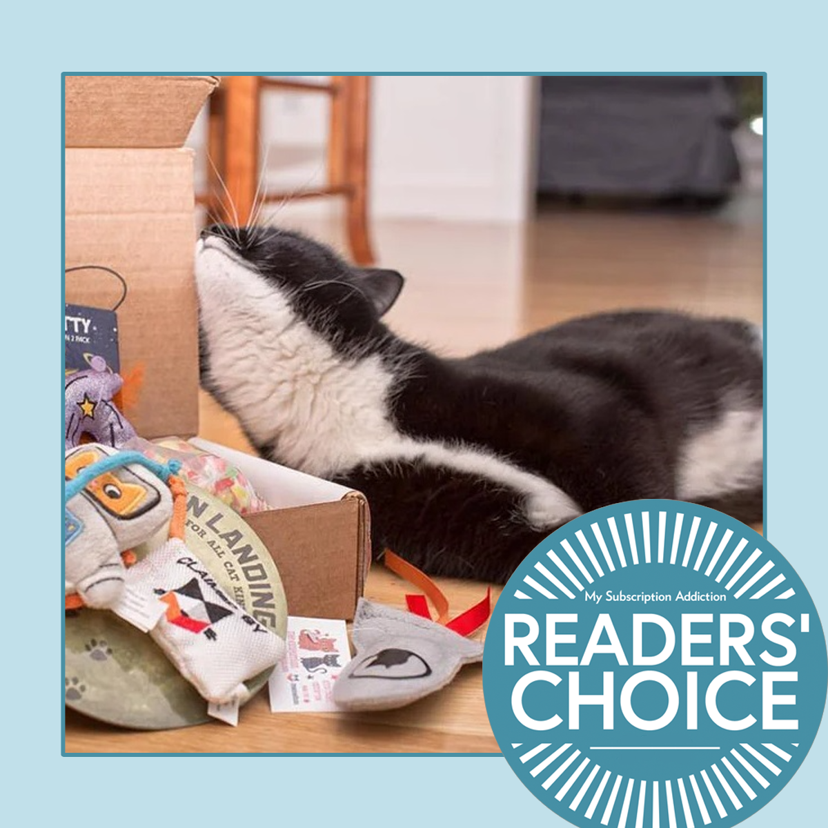 35 Best Monthly Subscription Boxes in 2024 | My Subscription Addiction