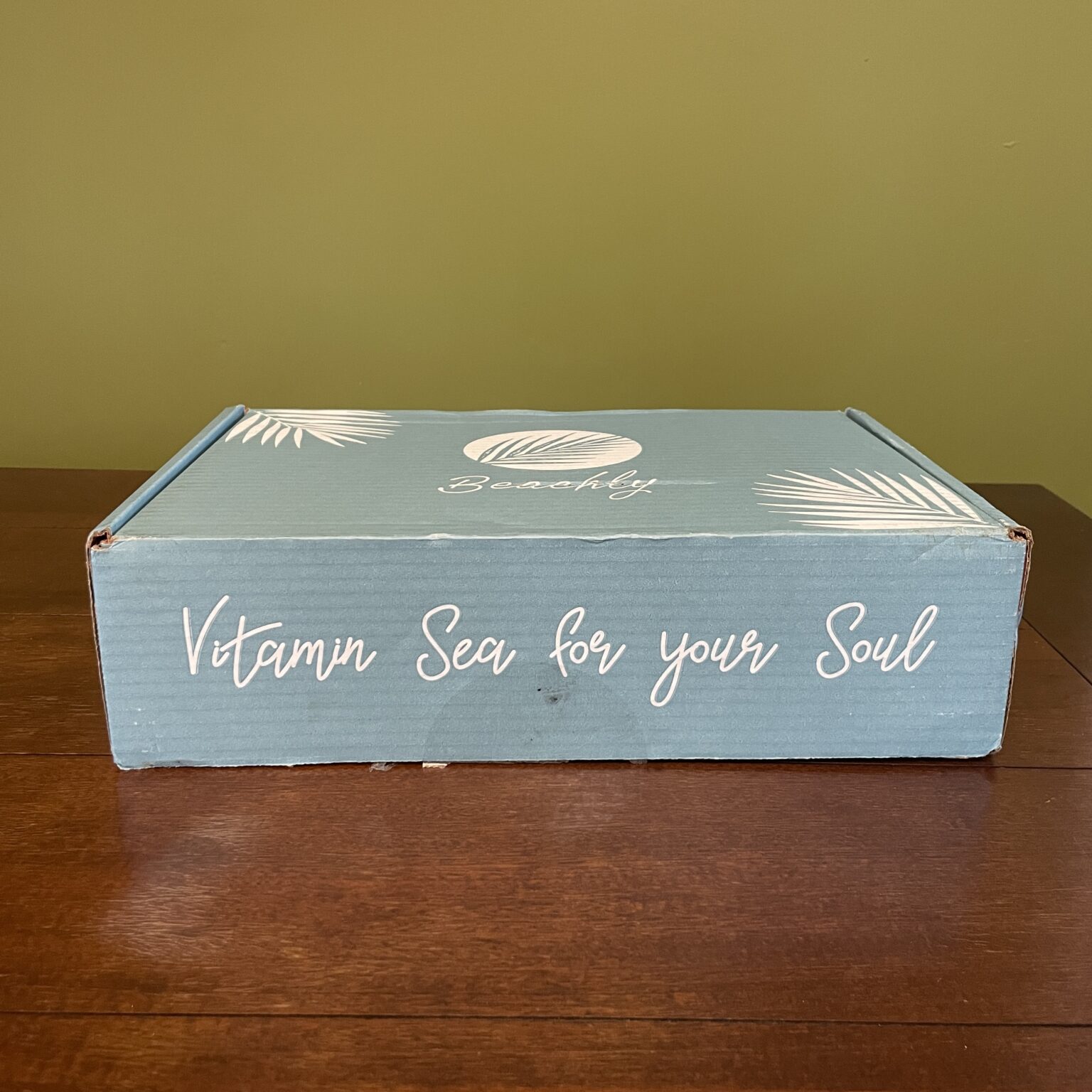 Beachly Lifestyle Box Review Spring 2024 | My Subscription Addiction