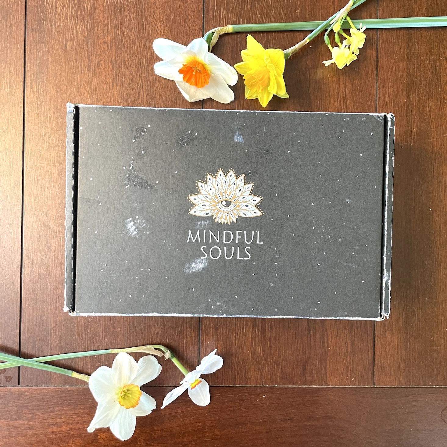 The Mindful Box Subscription Review + Coupon April 2024 | MSA
